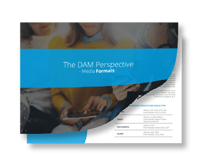 Qbank Dam White Paper Media Formats